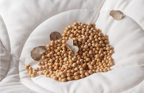Soybean Fiber – Sustainable Fiber Made From Soy By-products | Spring ...