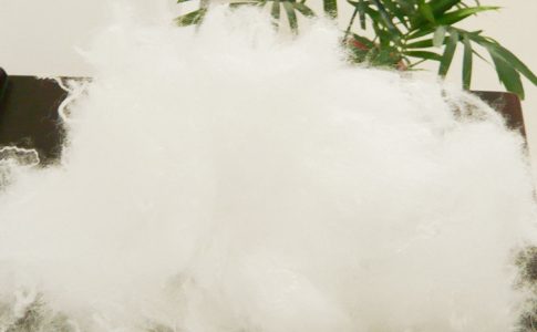 What is Corn Fiber? | Spring Hometextile Blog